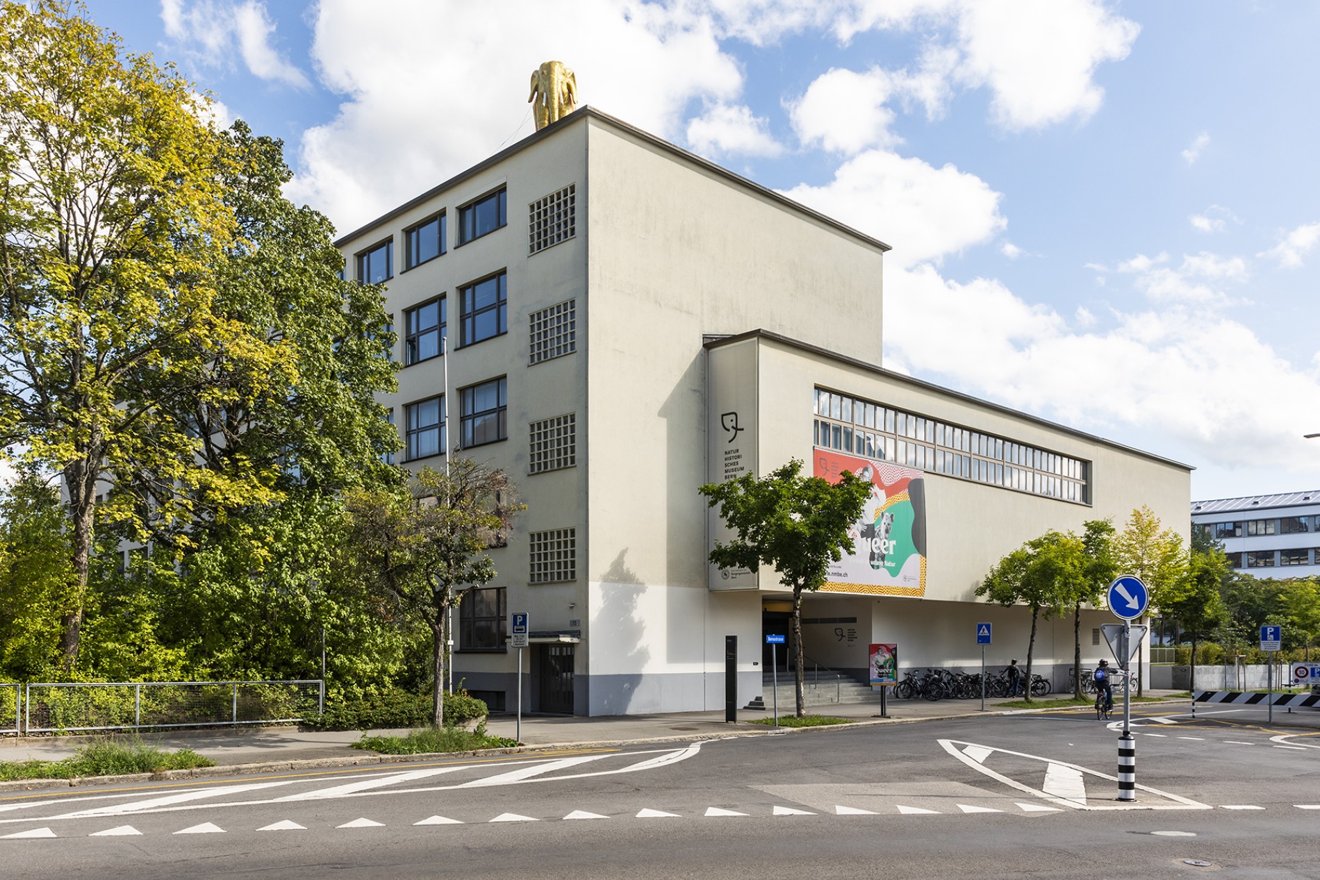 Naturhistorisches Museum Bern