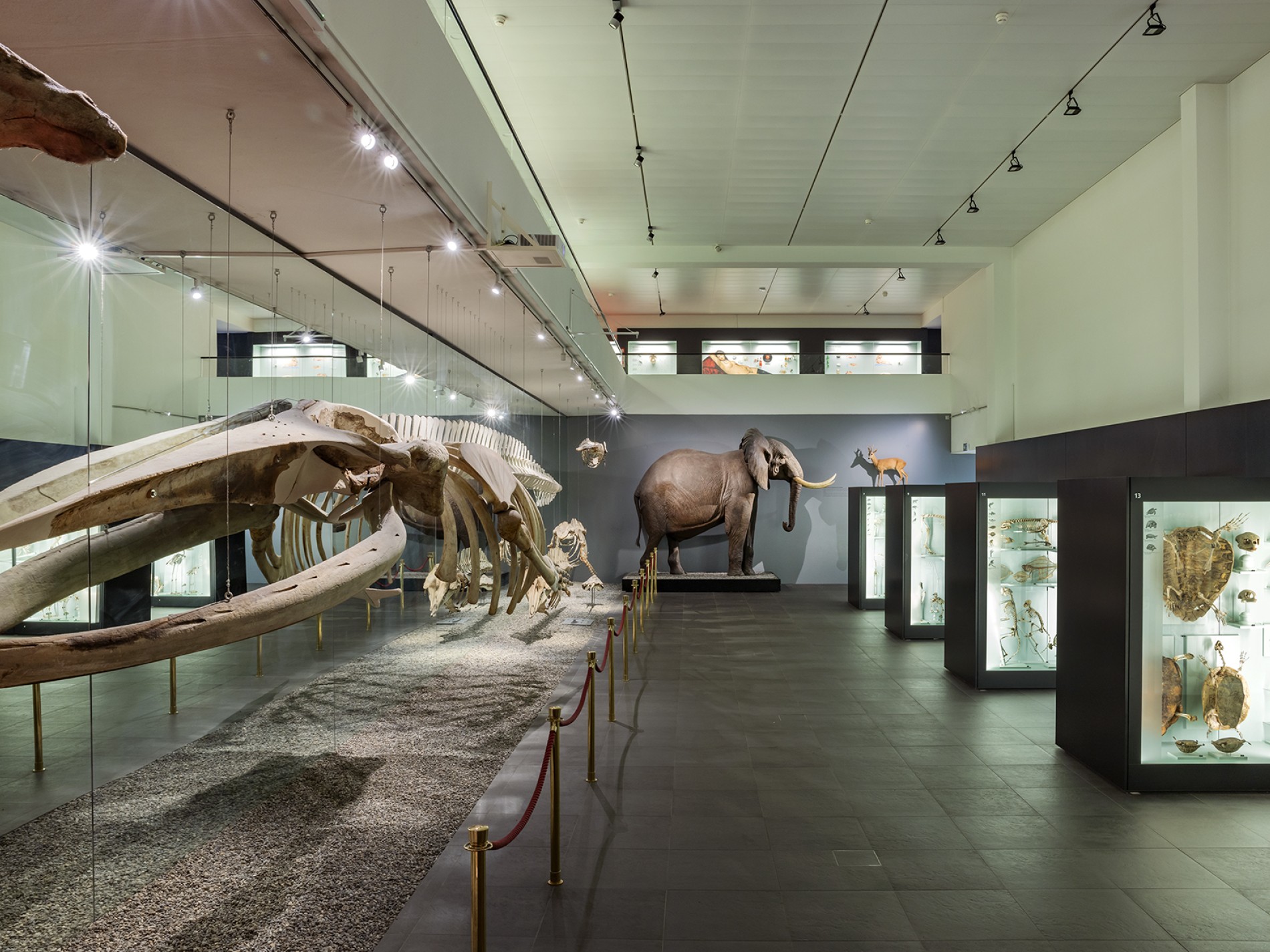 Das Museumsquartier Bern